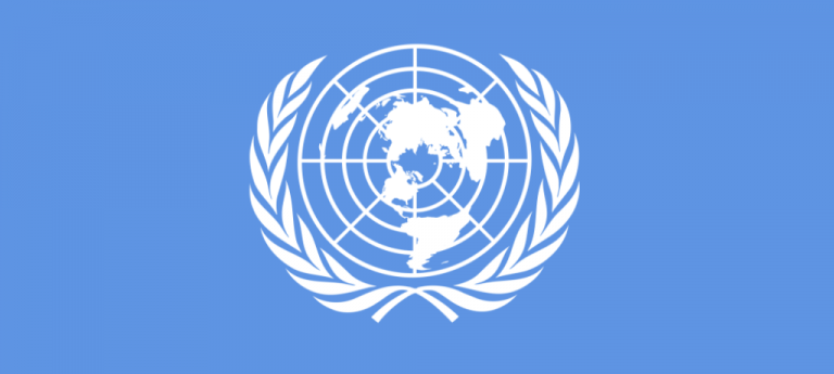 ICESCR – Civil Society Shadow report | Human Rights Consortium