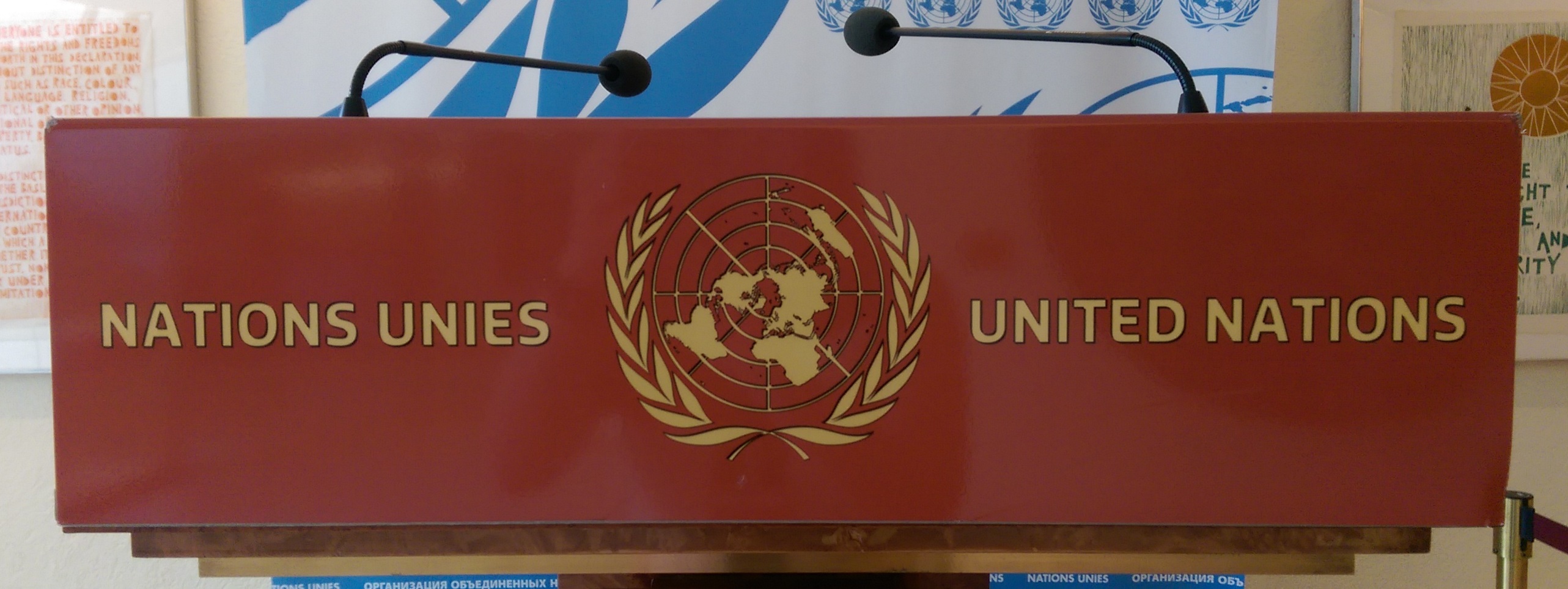 Universal Periodic Review Shadow Report Launched - Human Rights Consortium