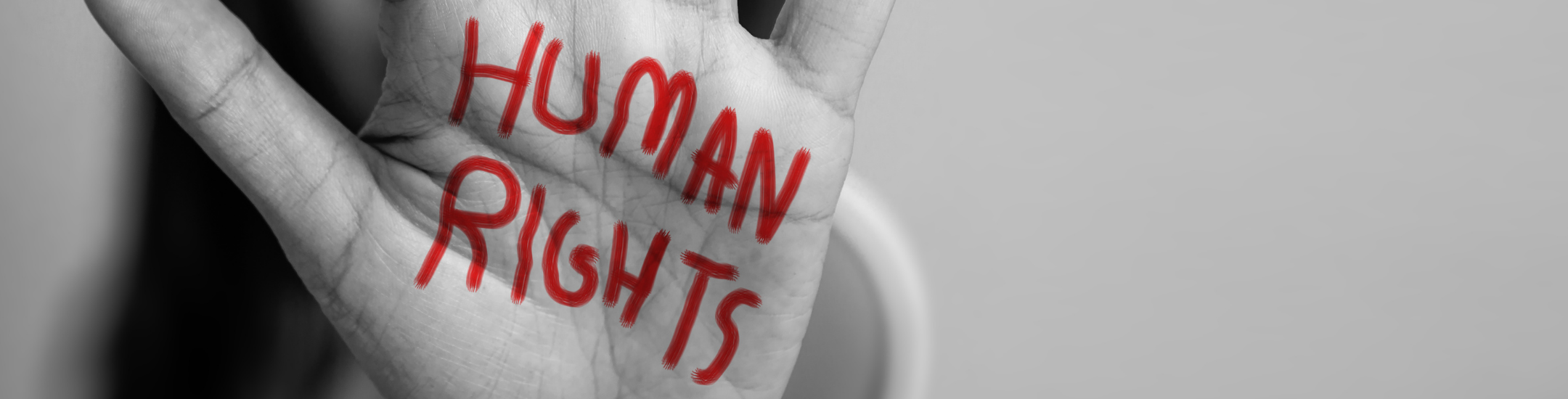 Urgent call to respond to the Human Rights Act consultation - A Guide ...