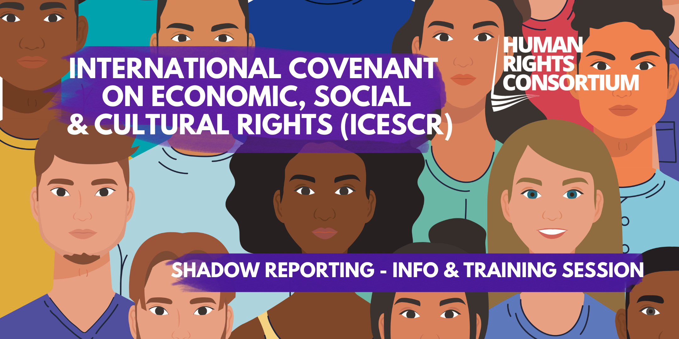ICESCR - Civil Society Shadow report - Human Rights Consortium